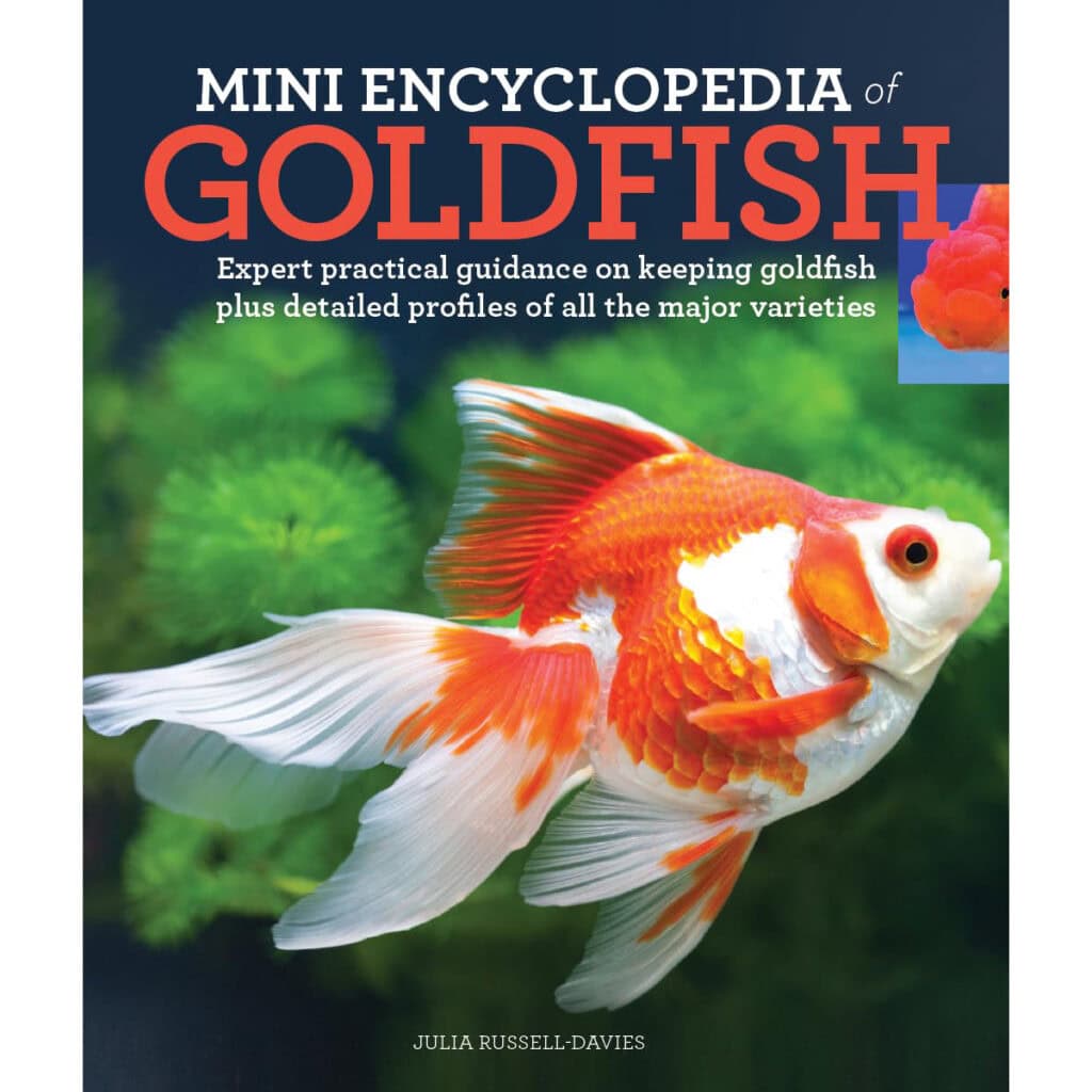 6 Best Goldfish Books in 2026 - Reviews & Top Picks | Hepper Pet Resources