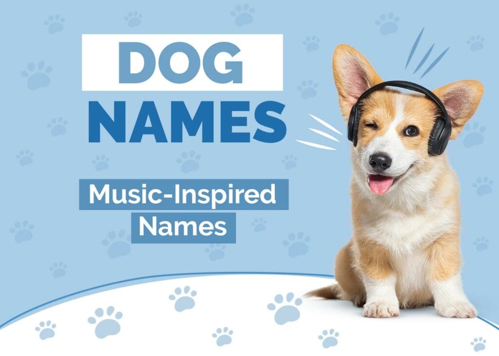 100+ Music Inspired Dog Names: Melodic & Tuneful Ideas | Hepper Pet ...