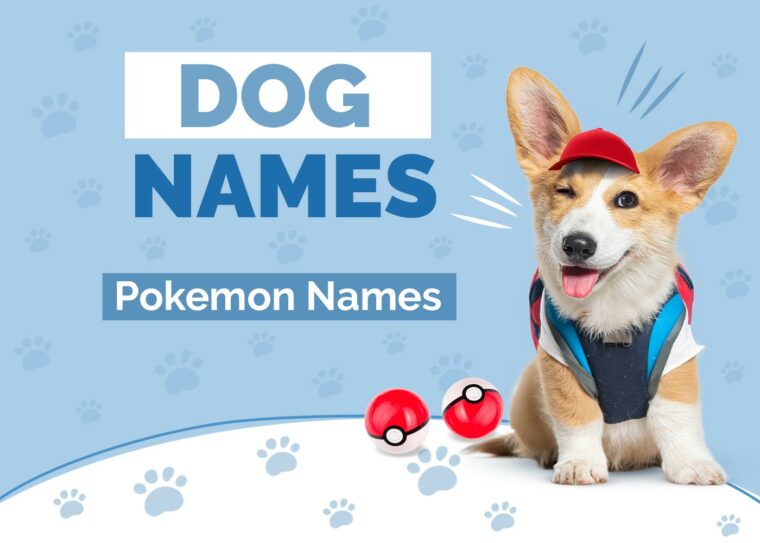 100+ Pokémon Inspired Dog Names: Animated & Mystical Ideas | Hepper Pet ...
