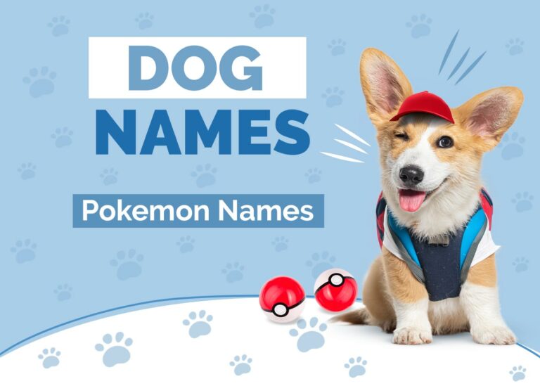 100+ Pokémon Inspired Dog Names: Animated & Mystical Ideas | Hepper Pet ...