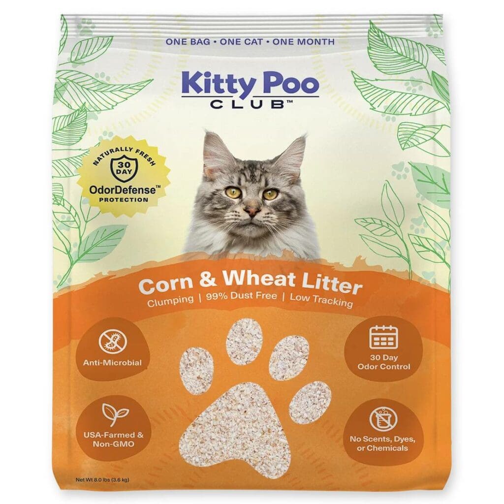11 Best Eco-Friendly Cat Litters – 2025 Reviews & Top Picks | Hepper ...