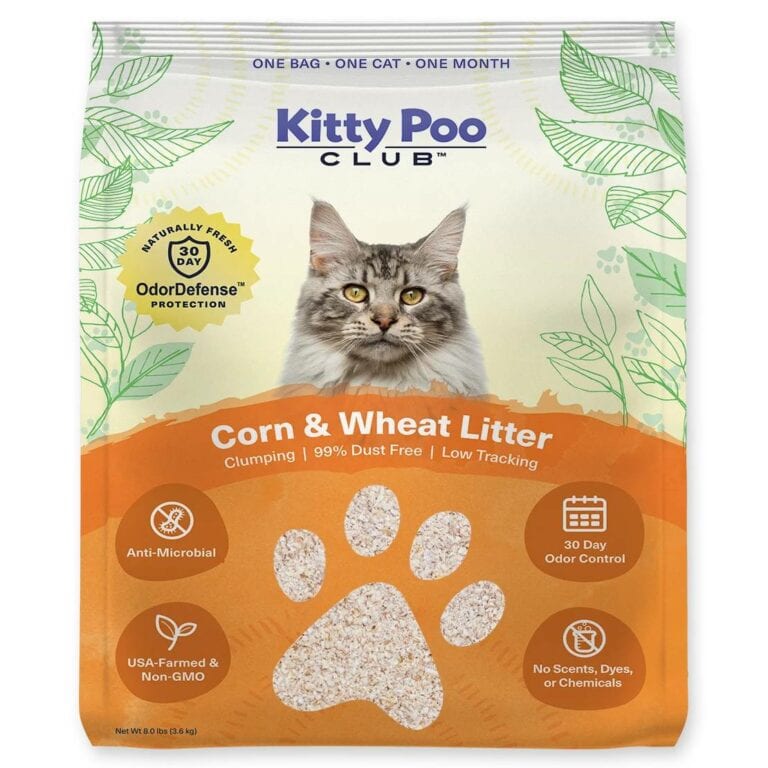11 Best Eco-Friendly Cat Litters – 2026 Reviews & Top Picks | Hepper ...
