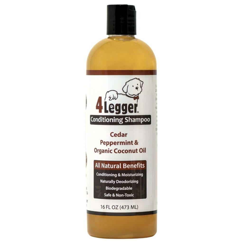 8 Best Dog Shampoos for Yorkies - 2026 Reviews & Top Picks | Hepper Pet ...