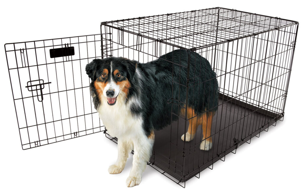 10 Best Wire Dog Crates of 2026 - Reviews & Top Picks | Hepper Pet ...