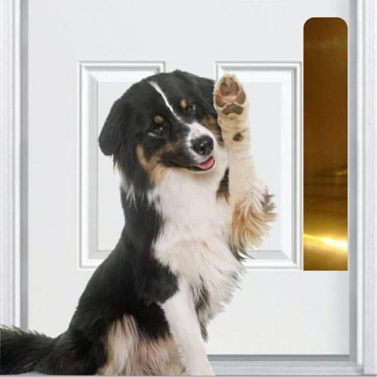 8 Best Door Protectors for Dog Scratches - 2025 Reviews & Top Picks ...