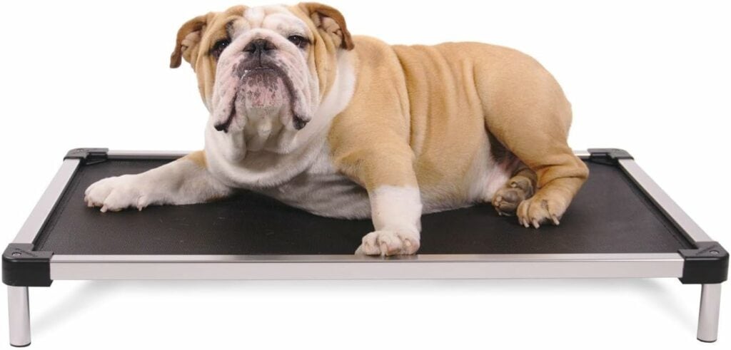 8 Best Indestructible & Chew-Proof Dog Beds in 2026 - Reviews & Top ...