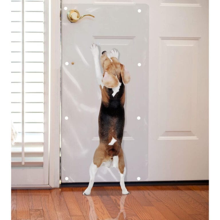 8 Best Door Protectors for Dog Scratches - 2025 Reviews & Top Picks ...