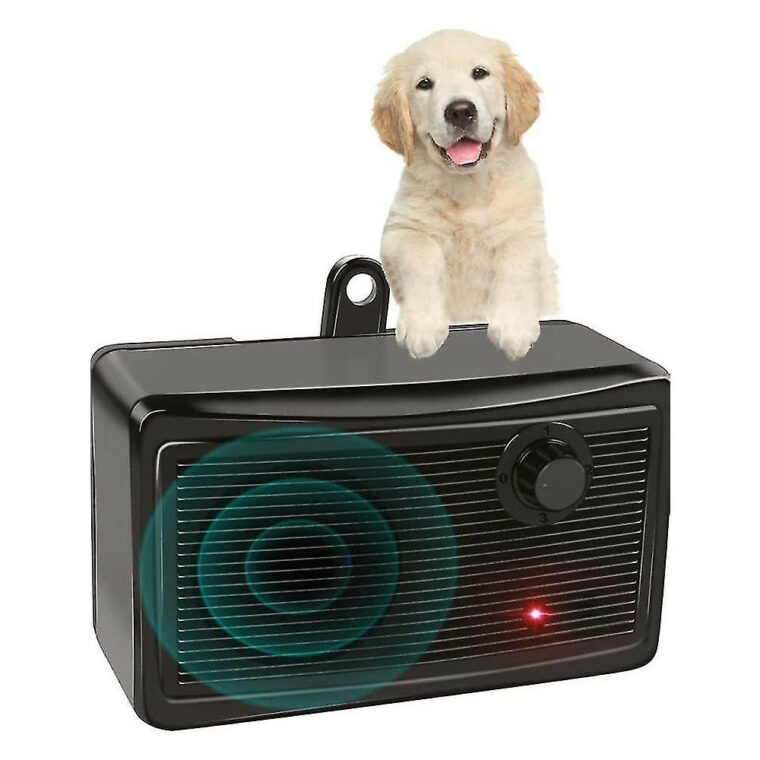 8 Best Dog Silencers (December 2025) - Reviews & Top Picks | Hepper Pet ...