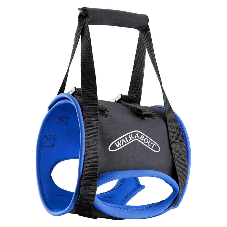 10 Best Dog Harnesses to Support Back Legs [Reviews 2026 ]