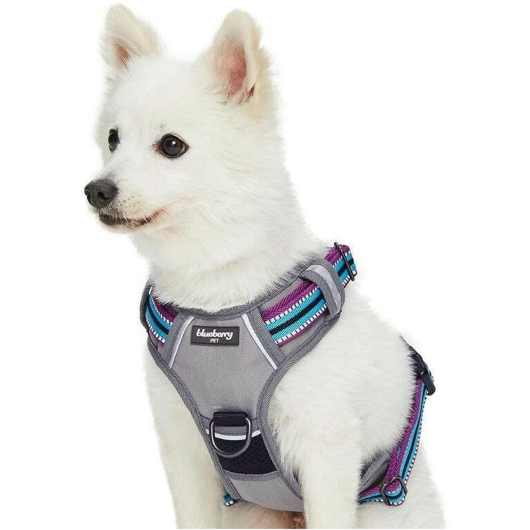 10 Best Front-Clip Dog Harnesses of 2025 - Reviews & Top Picks | Hepper ...