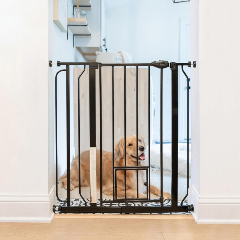 10 Best Indoor Dog Gates in 2026 - Reviews & Top Picks | Hepper Pet ...