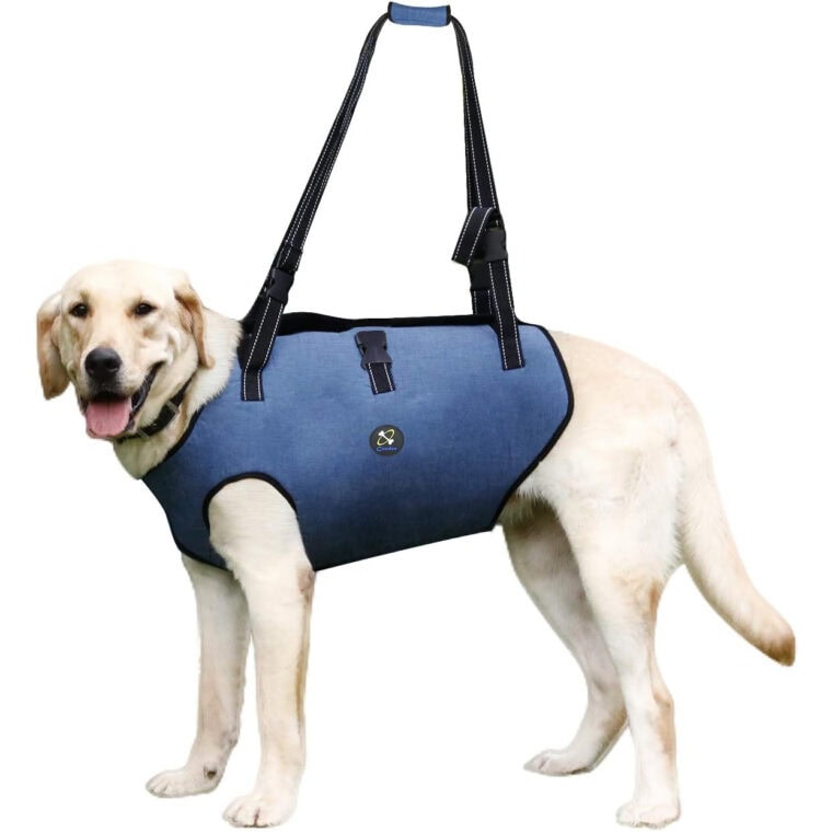 10 Best Dog Lift Harnesses of 2026- Reviews & Top Picks | Hepper Pet ...