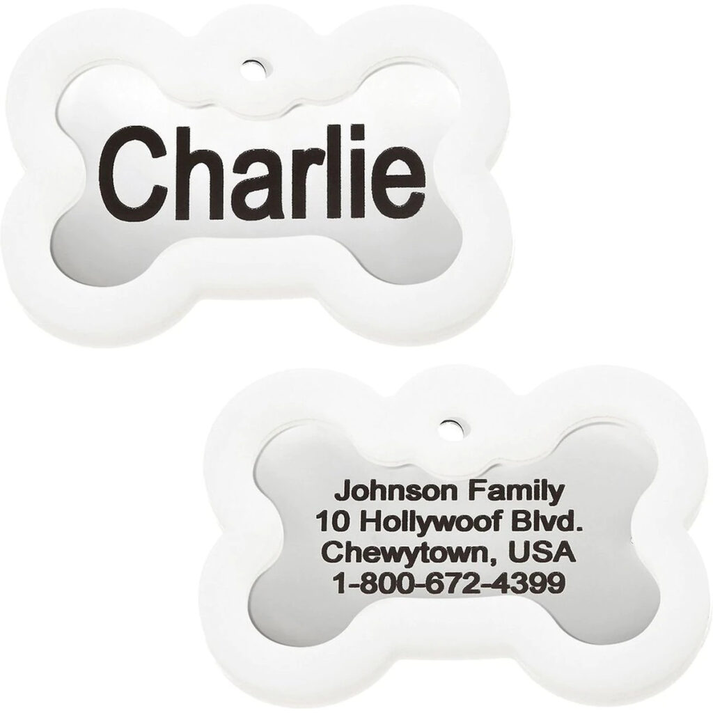 10 Best Dog ID Tags of 2026 - Reviews & Top Picks | Hepper Pet Resources