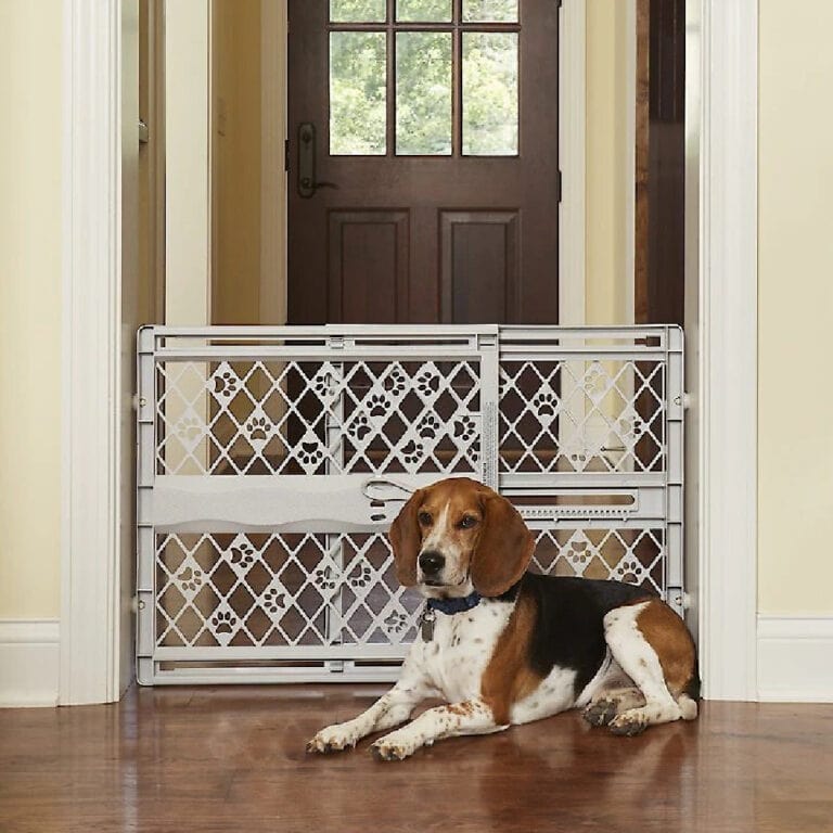 10 Best Indoor Dog Gates in 2026 - Reviews & Top Picks | Hepper Pet ...