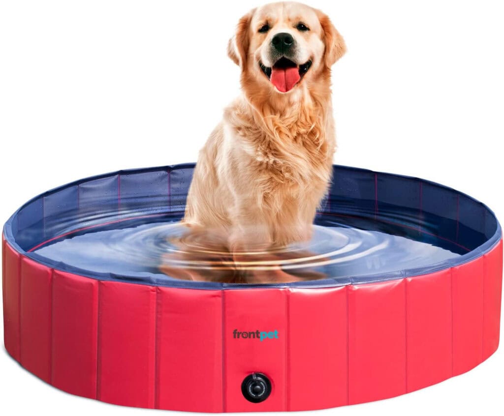 10 Best Dog Swimming Pools - 2025 Reviews & Top Picks | Hepper Pet ...