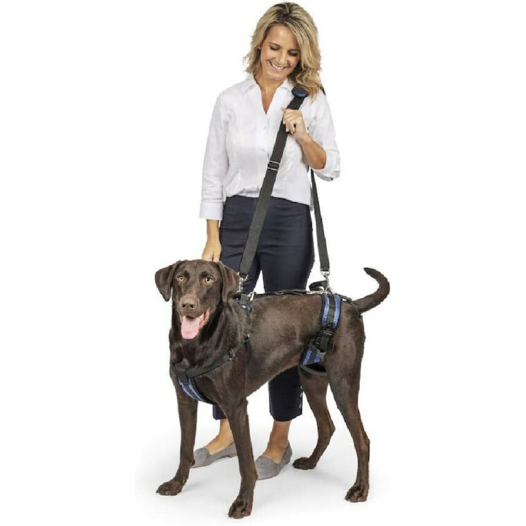 10 Best Dog Lift Harnesses of 2026- Reviews & Top Picks | Hepper Pet ...