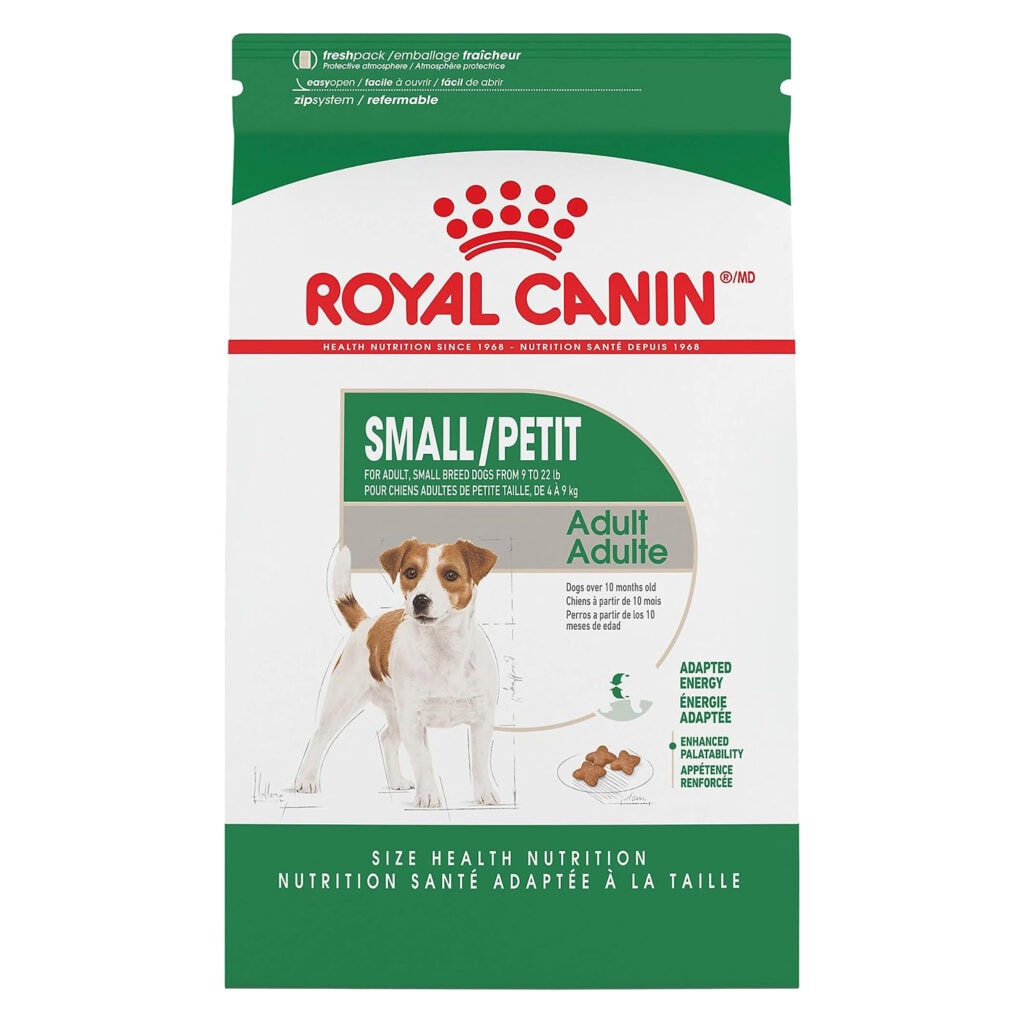 15 Essential Boston Terrier Supplies & Products: 2026 Update | Hepper ...