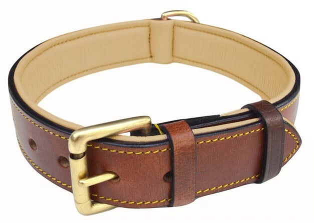 9 Best Eco-Friendly Dog Collars - 2026 Reviews & Top Picks | Hepper Pet ...