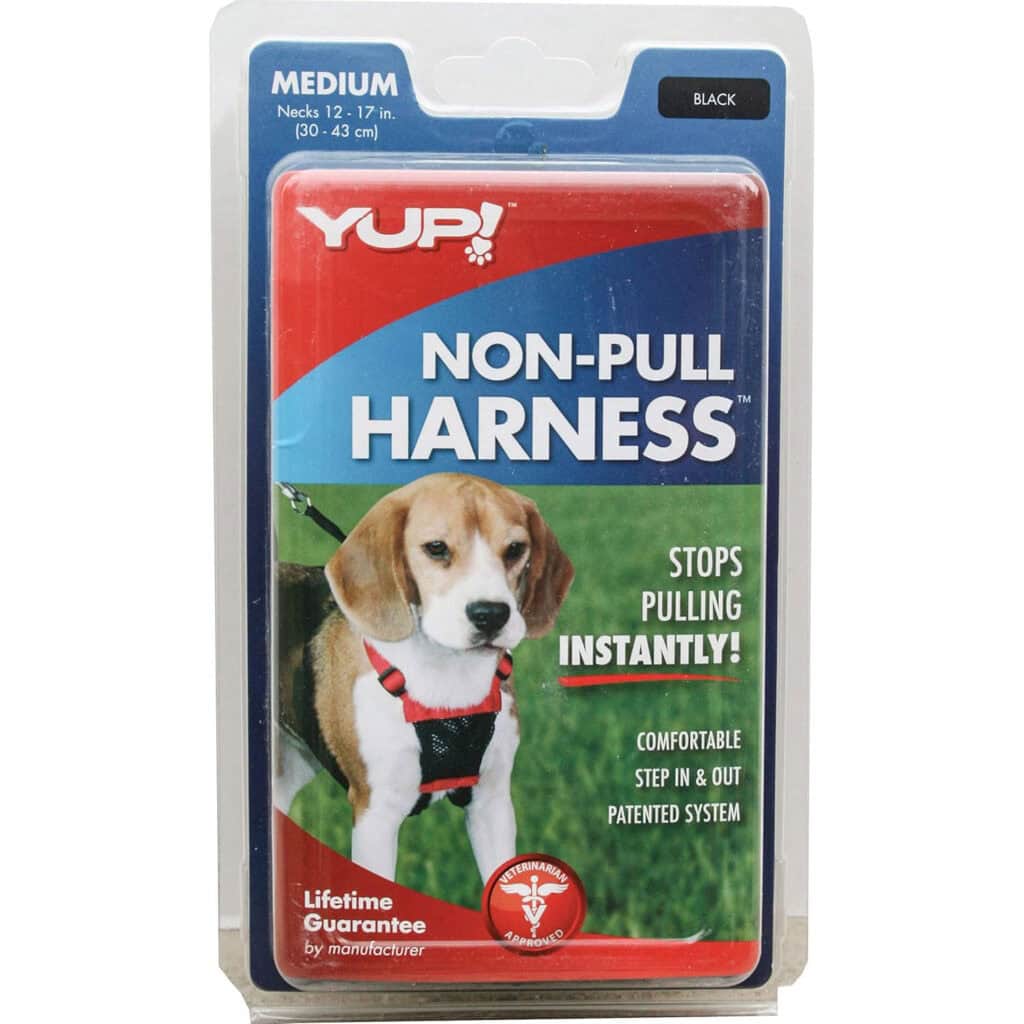 10 Best Dog Harnesses for Small Dogs [Reviews 2026 ] | Hepper Pet Resources