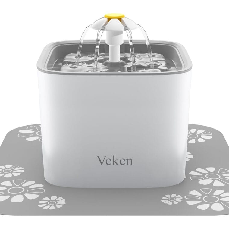 10 Best Dog Water Fountains of 2026 - Reviews & Top Picks | Hepper Pet ...