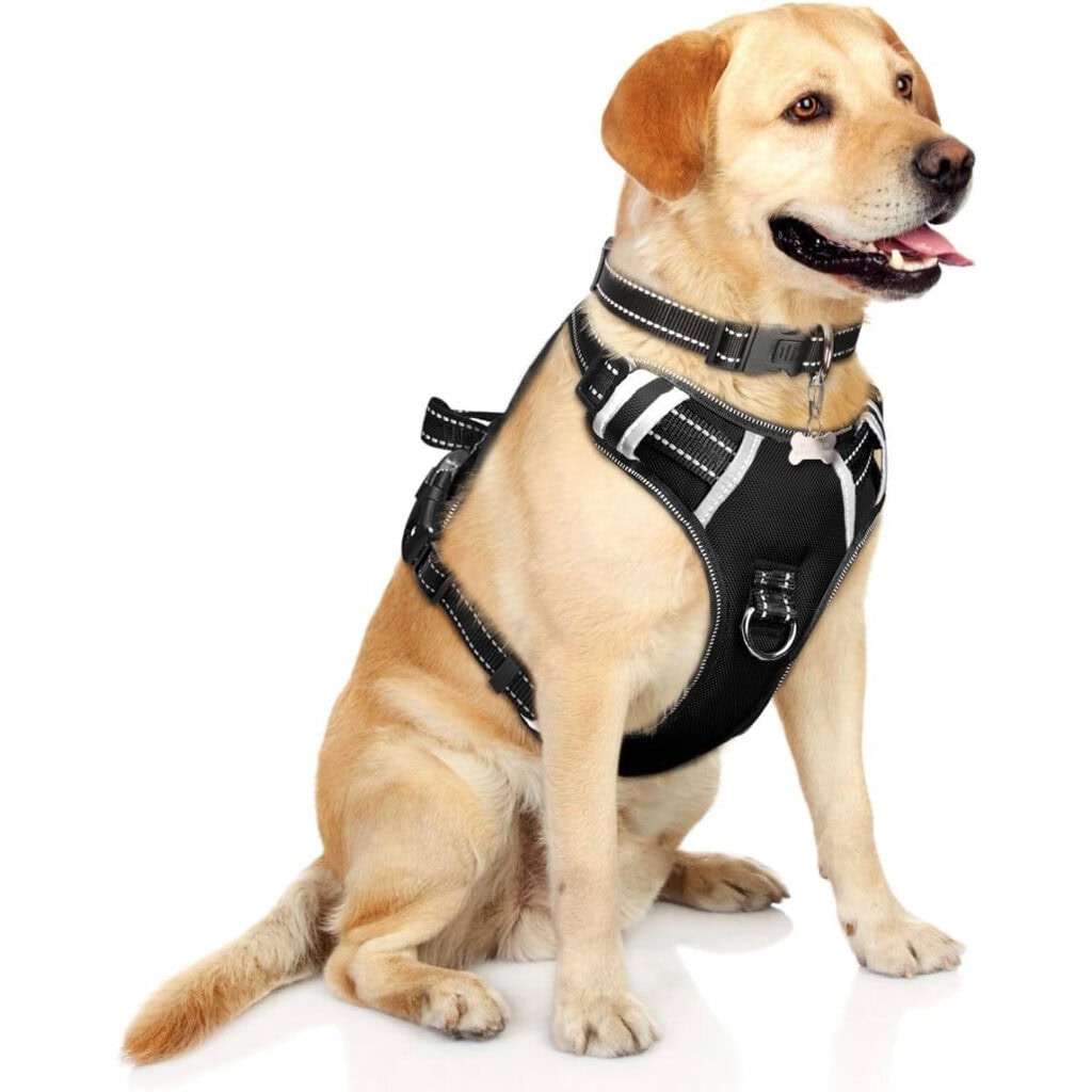 10 Best Front-Clip Dog Harnesses of 2026 - Reviews & Top Picks | Hepper ...