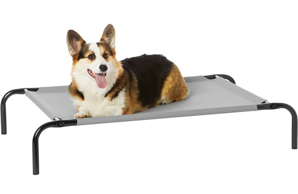 6 Best Cooling Dog Beds of 2026 - Reviews & Guide | Hepper Pet Resources