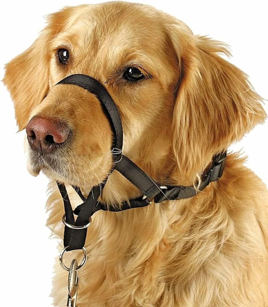 9 Best Dog Head Halters & Gentle Leaders - 2026 Reviews & Top Picks ...