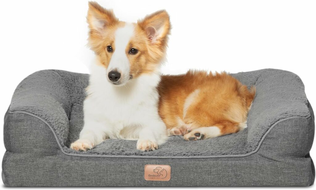 10 Best Memory Foam Dog Beds - 2026 Reviews & Top Picks | Hepper Pet ...