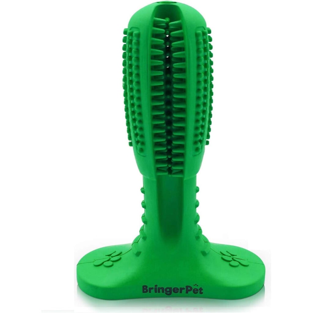 10 Best Dog Toothbrushes of 2026 - Reviews & Top Picks | Hepper Pet ...