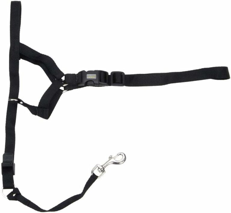 8 Best Dog Head Halters & Gentle Leaders - 2026 Reviews & Top Picks ...