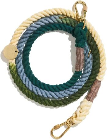 10 Types of Dog Leashes and Their Differences (with Pictures) | Hepper ...
