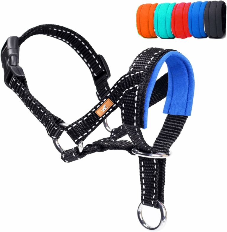 9 Best Dog Head Halters & Gentle Leaders - 2025 Reviews & Top Picks ...