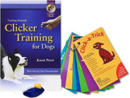 9 Best Dog Clickers for Training 2025 - Reviews & Top Picks | Hepper ...