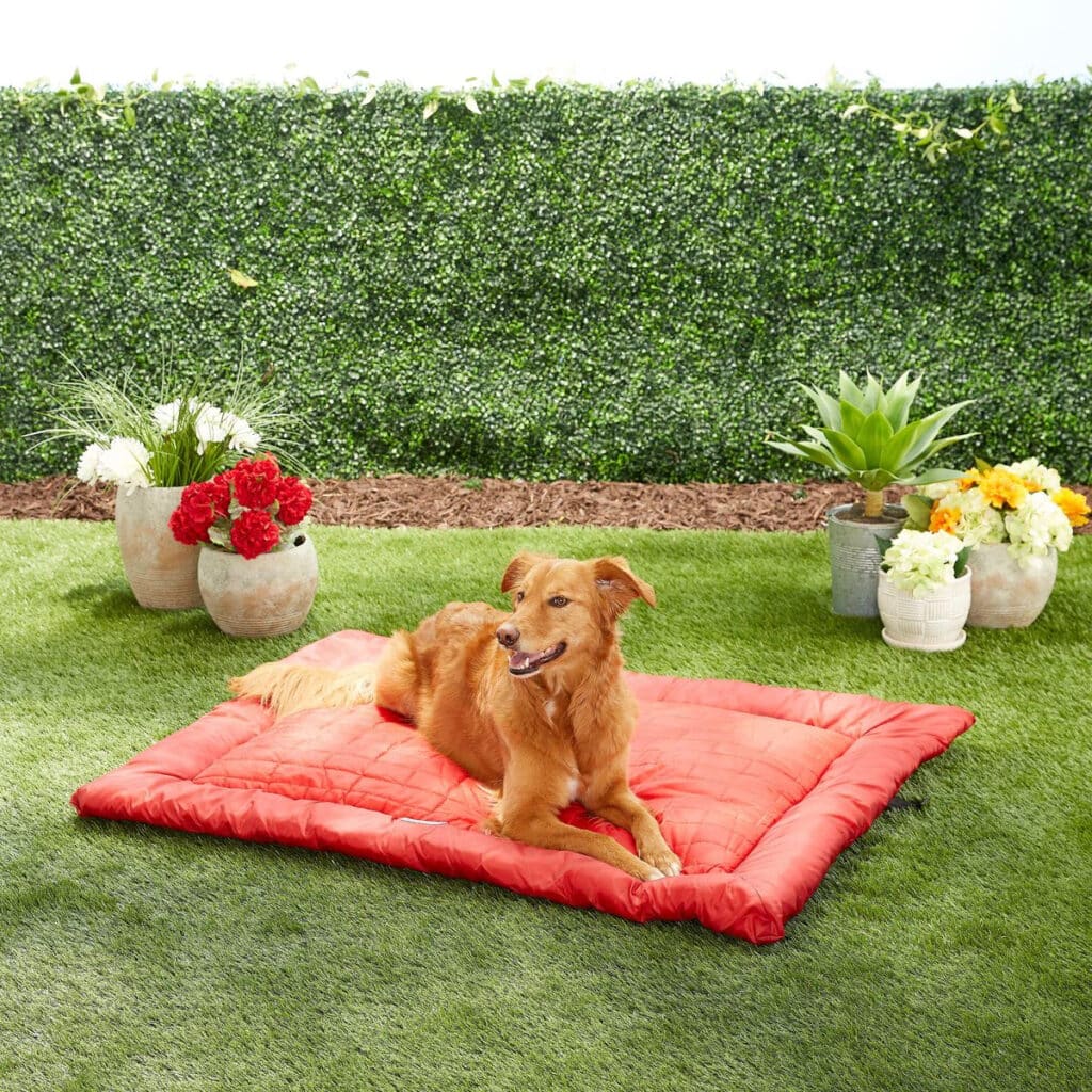 9 Best Dog Camping Beds – 2026 Reviews & Top Picks | Hepper Pet Resources