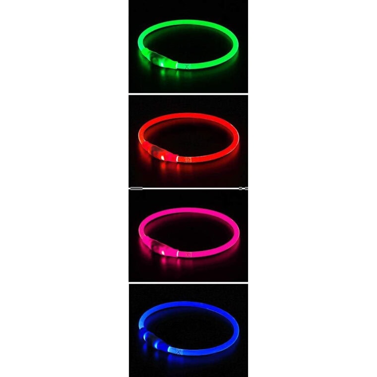7 Best LED Dog Collars of 2026 - Reviews, Top Picks & Comparison ...