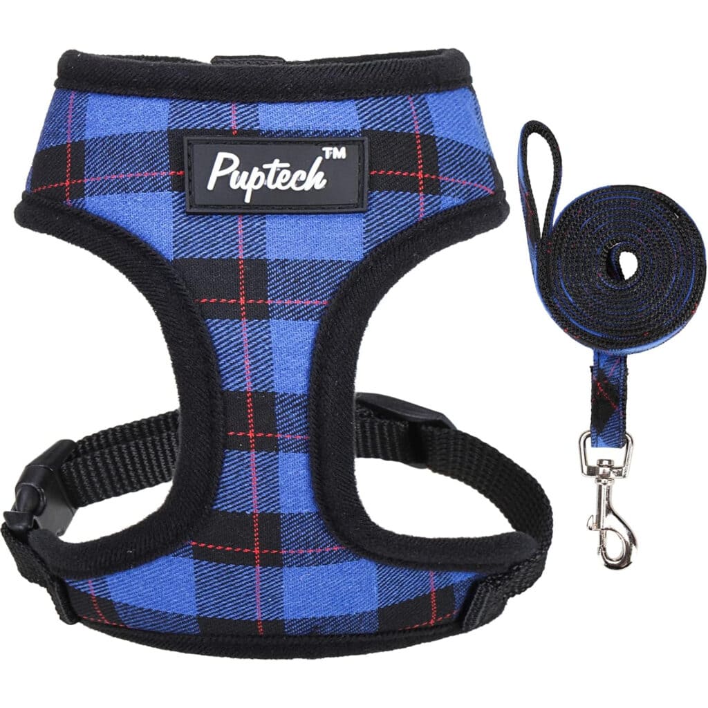 8 Best Harnesses for Pugs – 2026 Reviews & Top Picks | Hepper Pet Resources