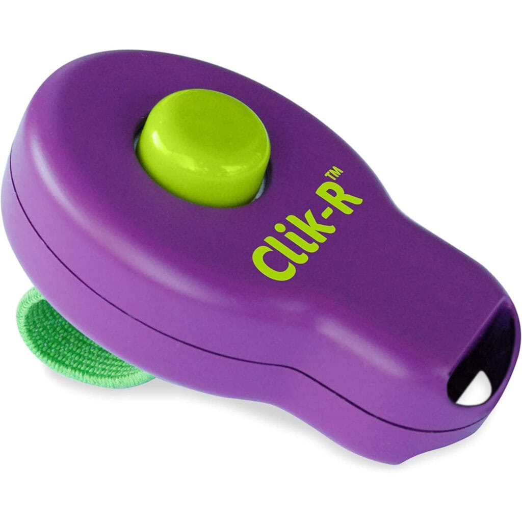 9 Best Dog Clickers for Training 2025 - Reviews & Top Picks | Hepper ...