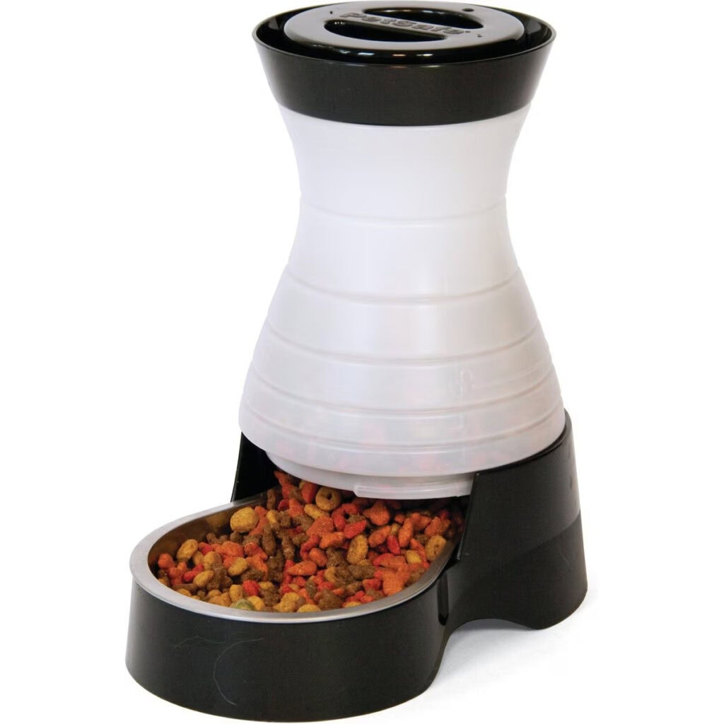 6 Best Automatic Dog Feeders of 2026 - Reviews & Top Picks | Hepper Pet ...