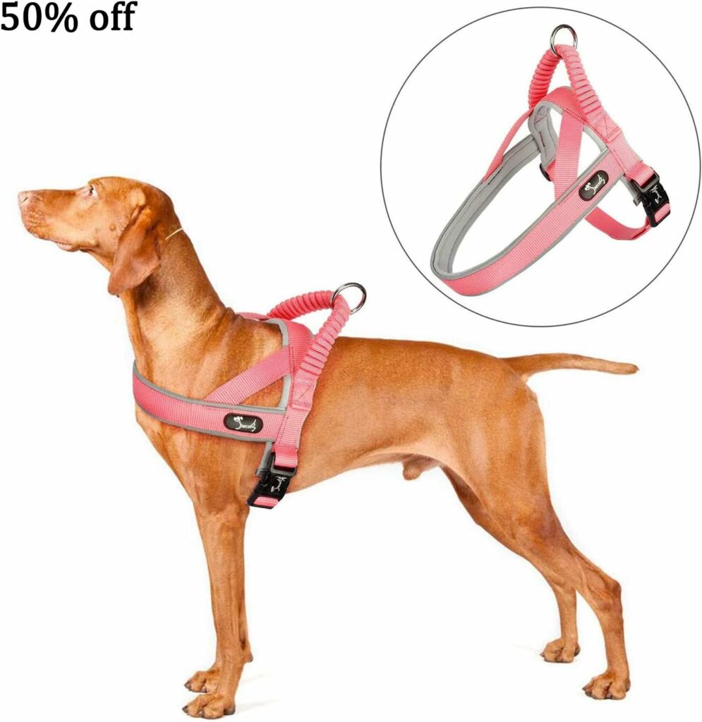9 Best Dog Head Halters & Gentle Leaders - 2026 Reviews & Top Picks ...