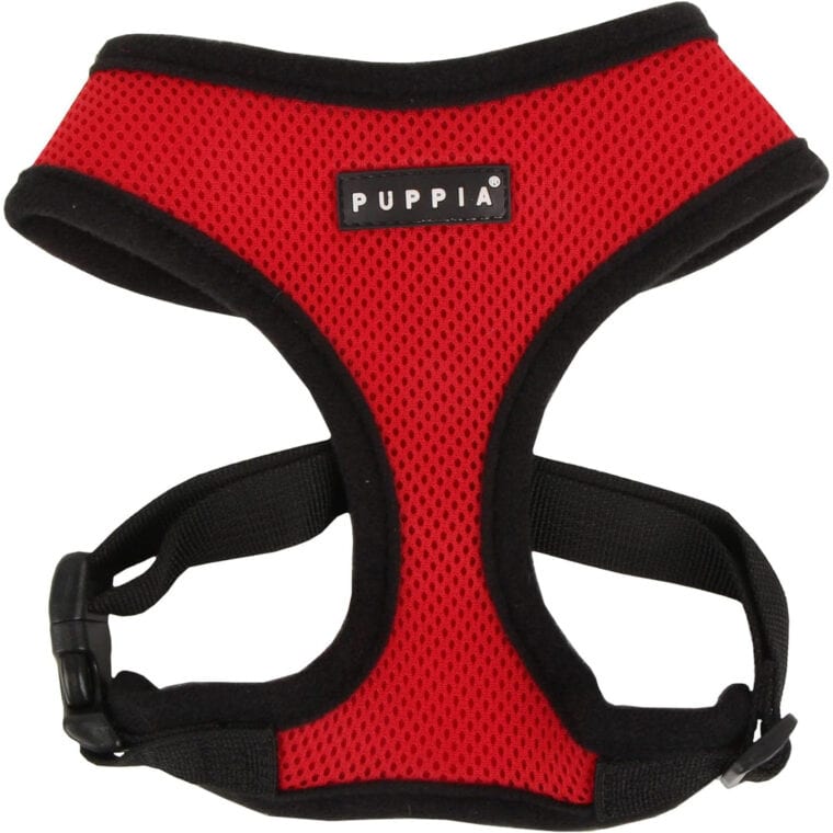 8 Best Harnesses for Pugs – 2026 Reviews & Top Picks | Hepper Pet Resources