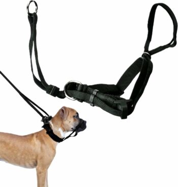 9 Best Dog Head Halters & Gentle Leaders - 2025 Reviews & Top Picks ...