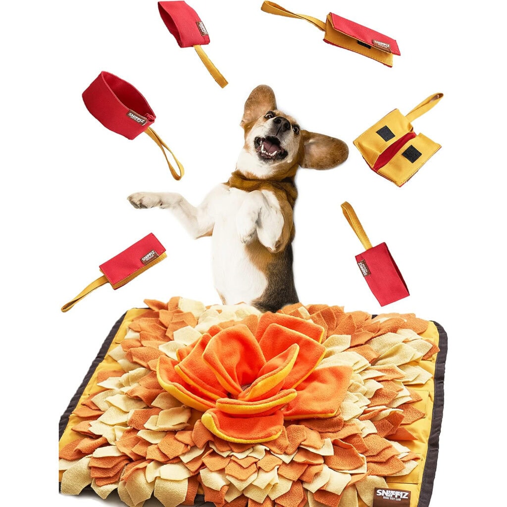 7 Best Snuffle Mats for Dogs in 2026 - Reviews & Top Picks | Hepper Pet ...