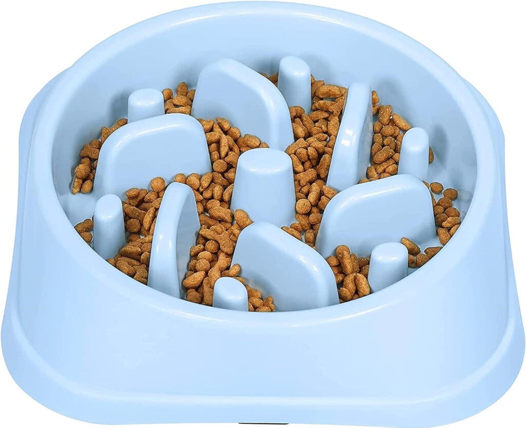 10 Best Slow Feed Dog Bowls (May 2026) - Reviews & Top Picks | Hepper ...