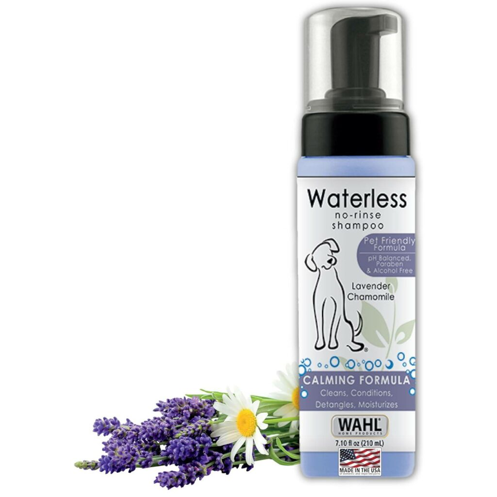 11 Best Dry Dog Shampoos of 2026 - Reviews & Top Picks | Hepper Pet ...