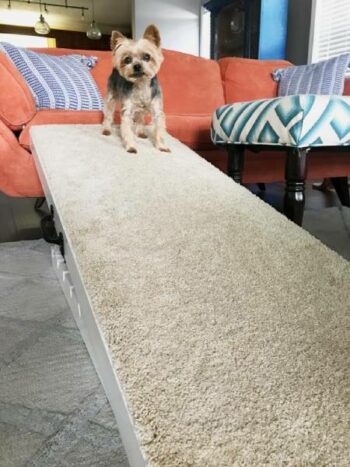 9 DIY Folding Dog Ramps You Can Build Today (With Pictures) | Hepper ...