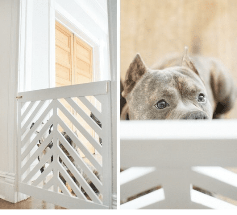 25 DIY Dog Gate Plans You Can Build Today (With Pictures) | Hepper Pet ...