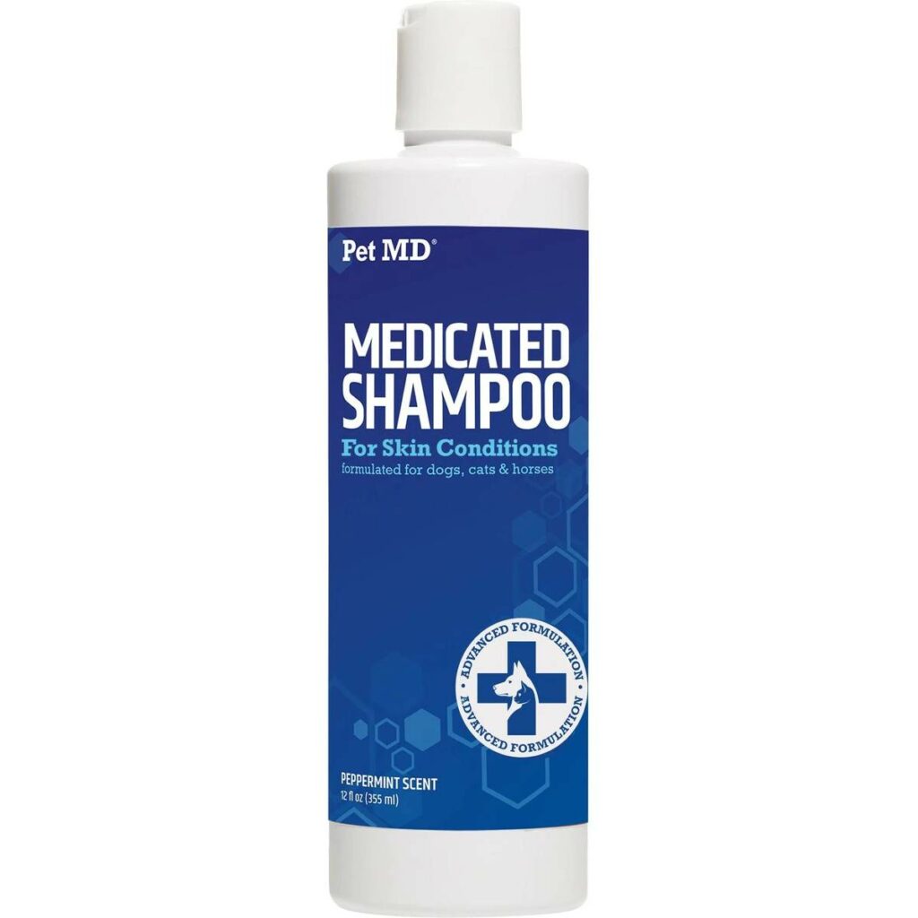 9 Best Medicated Dog Shampoos of 2025 - Reviews & Top Picks | Hepper ...