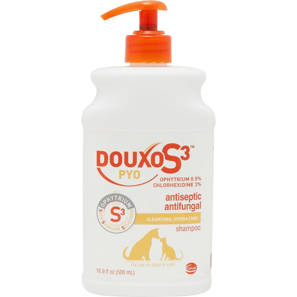 8 Best Medicated Dog Shampoos of 2026 - Reviews & Top Picks | Hepper ...