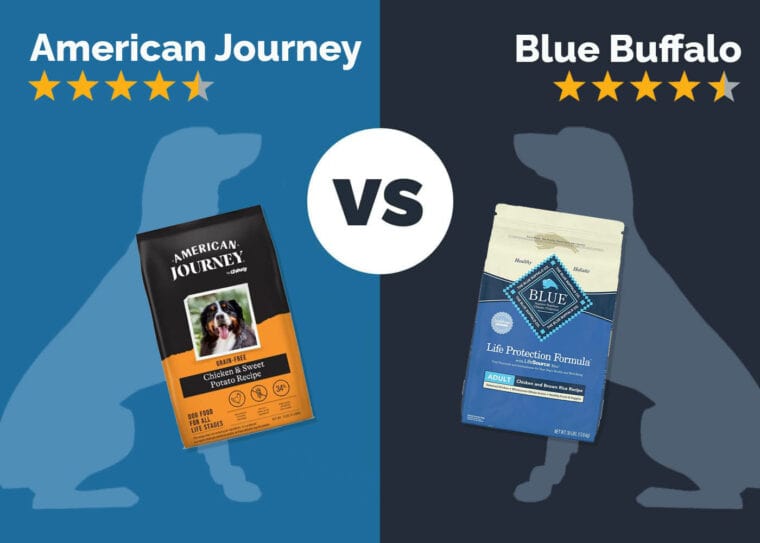 Where Is Blue Buffalo Dog Food Made? Brand Facts & FAQ | Hepper Pet ...