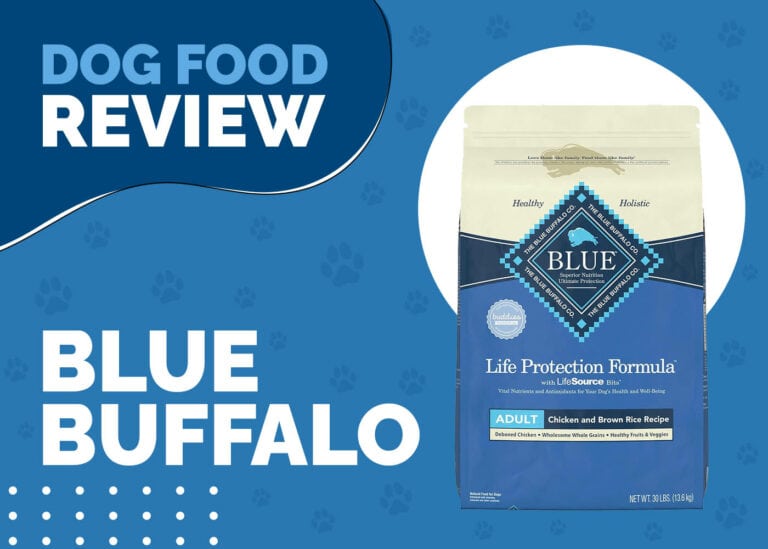 Blue Buffalo Dog Food Review 2026: Recalls, Pros & Cons | Hepper Pet ...